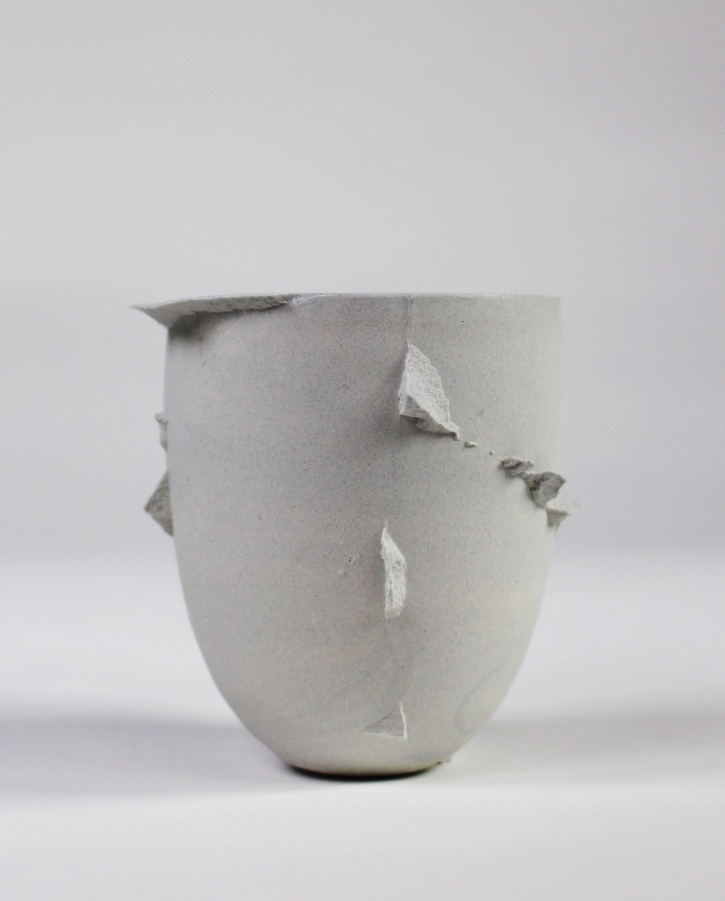 Fraternal Centuplets (Spotlighted) — Hae Won Sohn