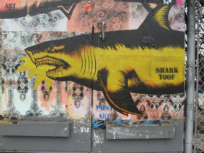 Shark Toof, Shark Season Continues, Santa Monica — unurth