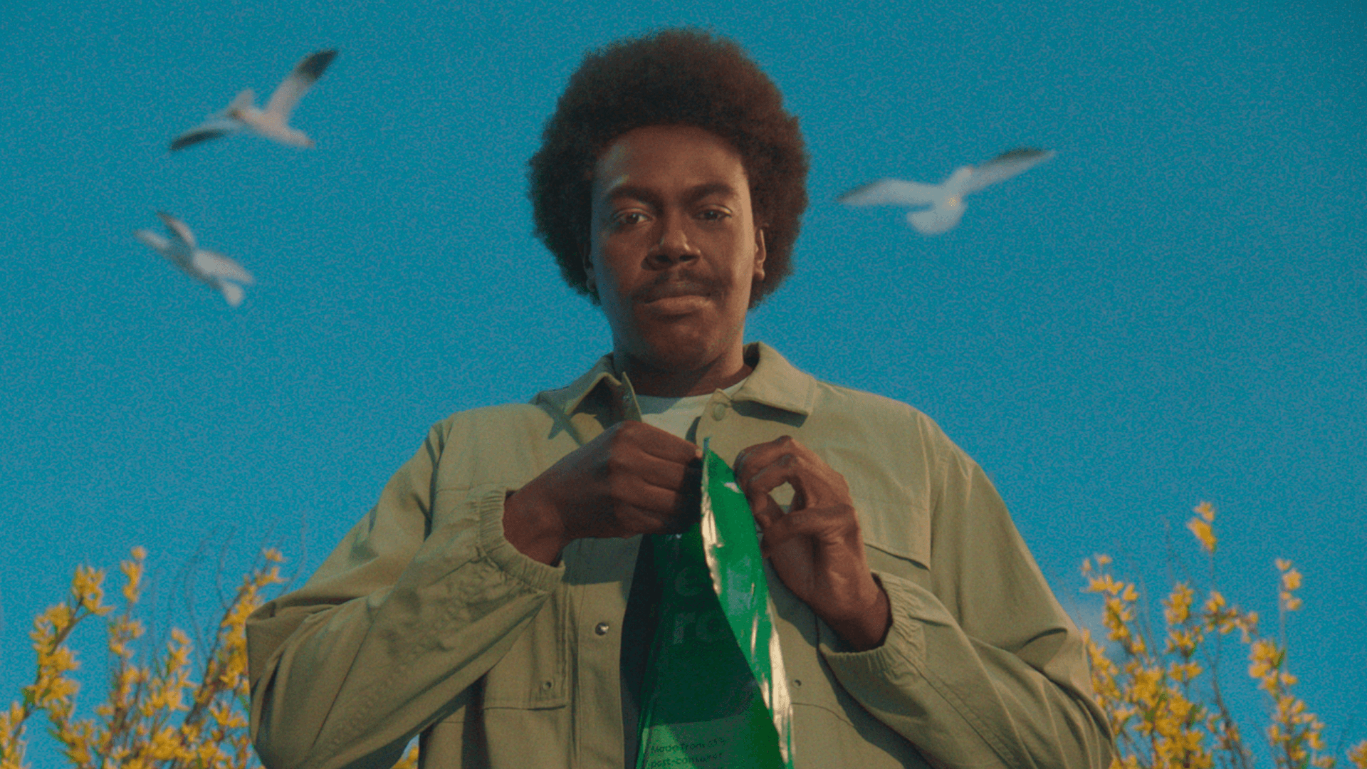 leah lalich — nimiopere