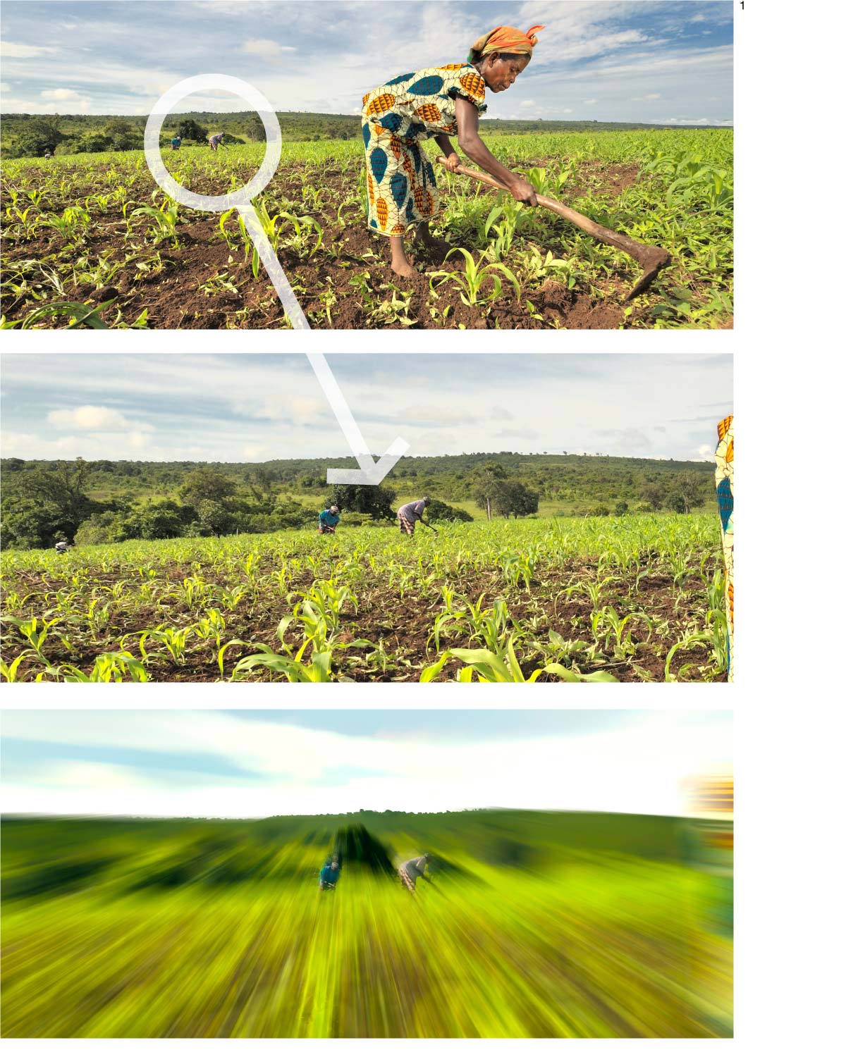 10-Fold — runderberg