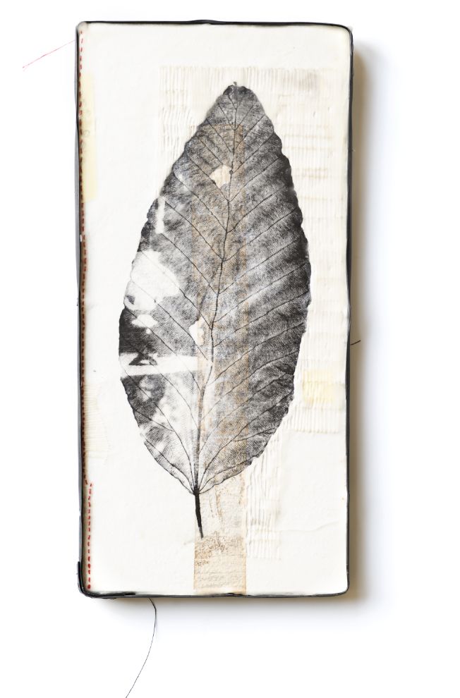 .thoughttrails — jackie mulder fotografie