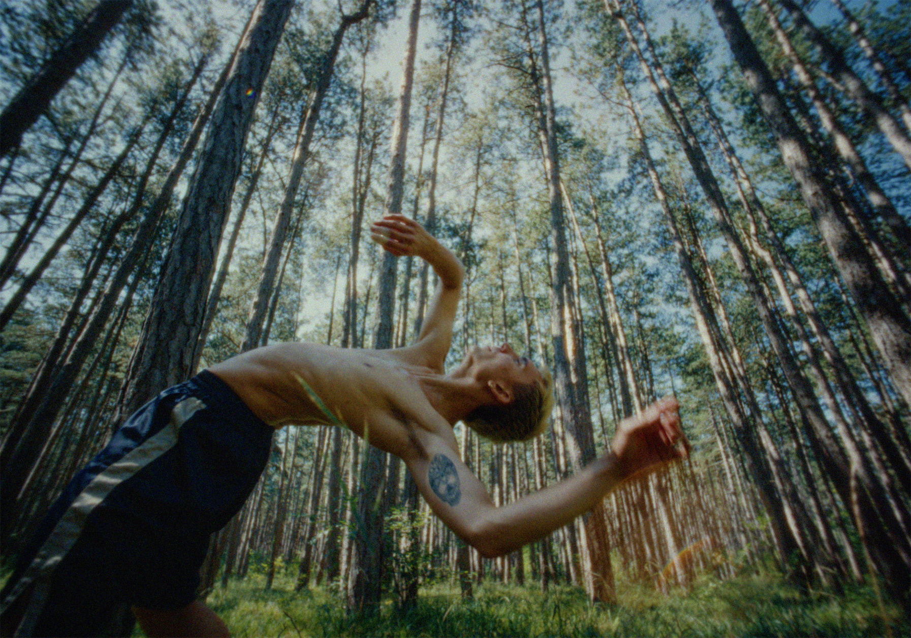 ALL THE WILD HEARTS HERE BELOW — NIKLAS HUGO