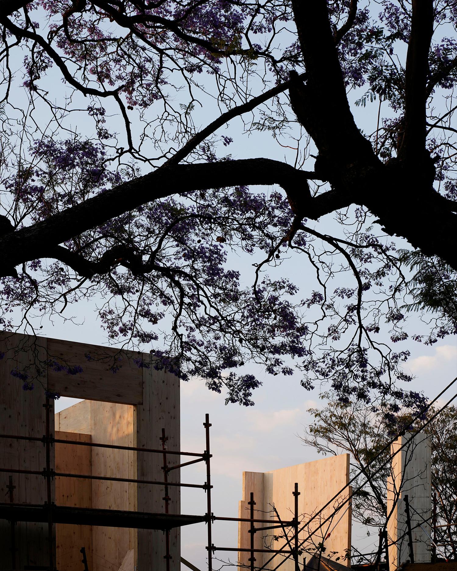 Projects — MiMo Architects