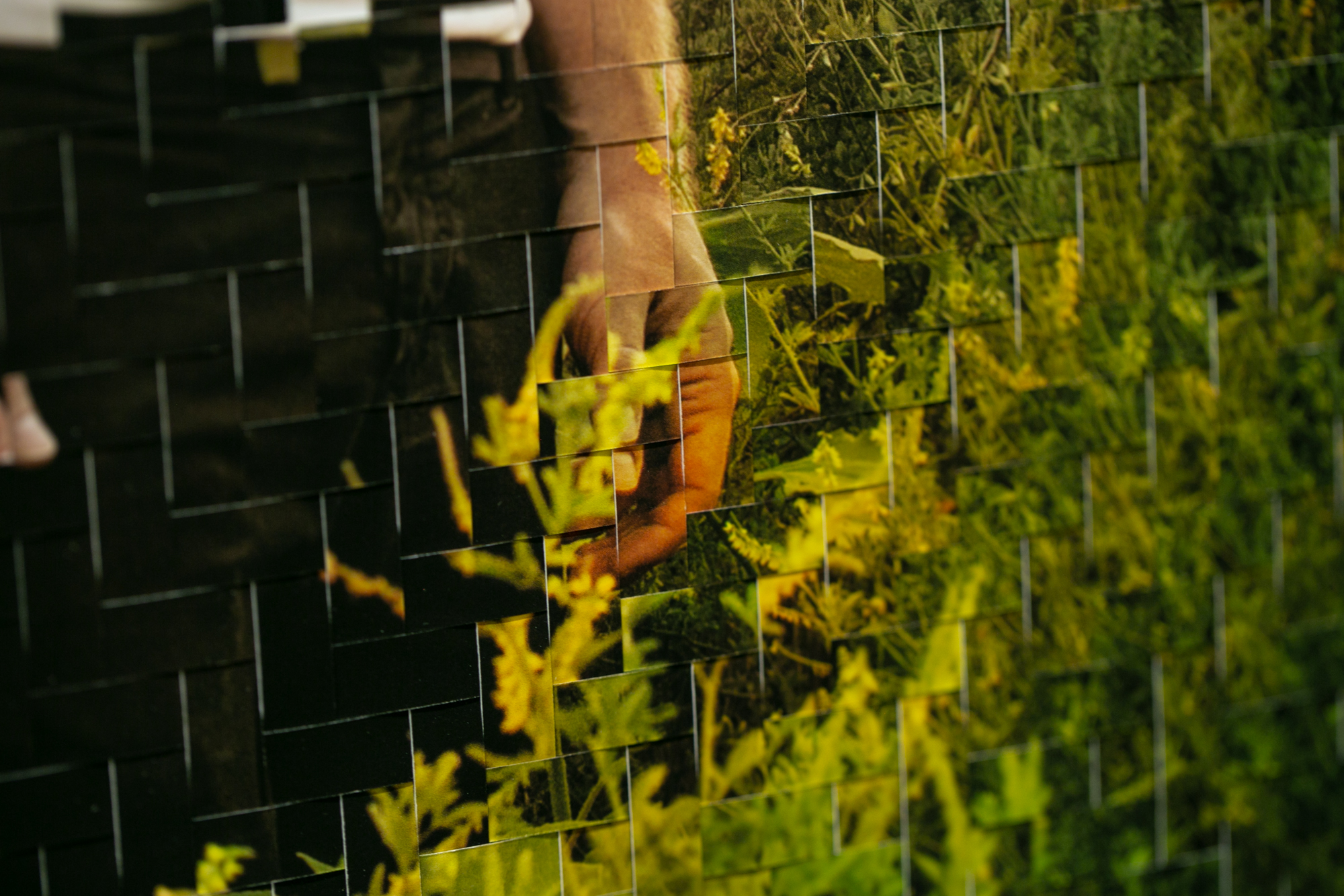 "Prism" — Jason Chen Photography | Philadelphia Fashion and Editorial ...