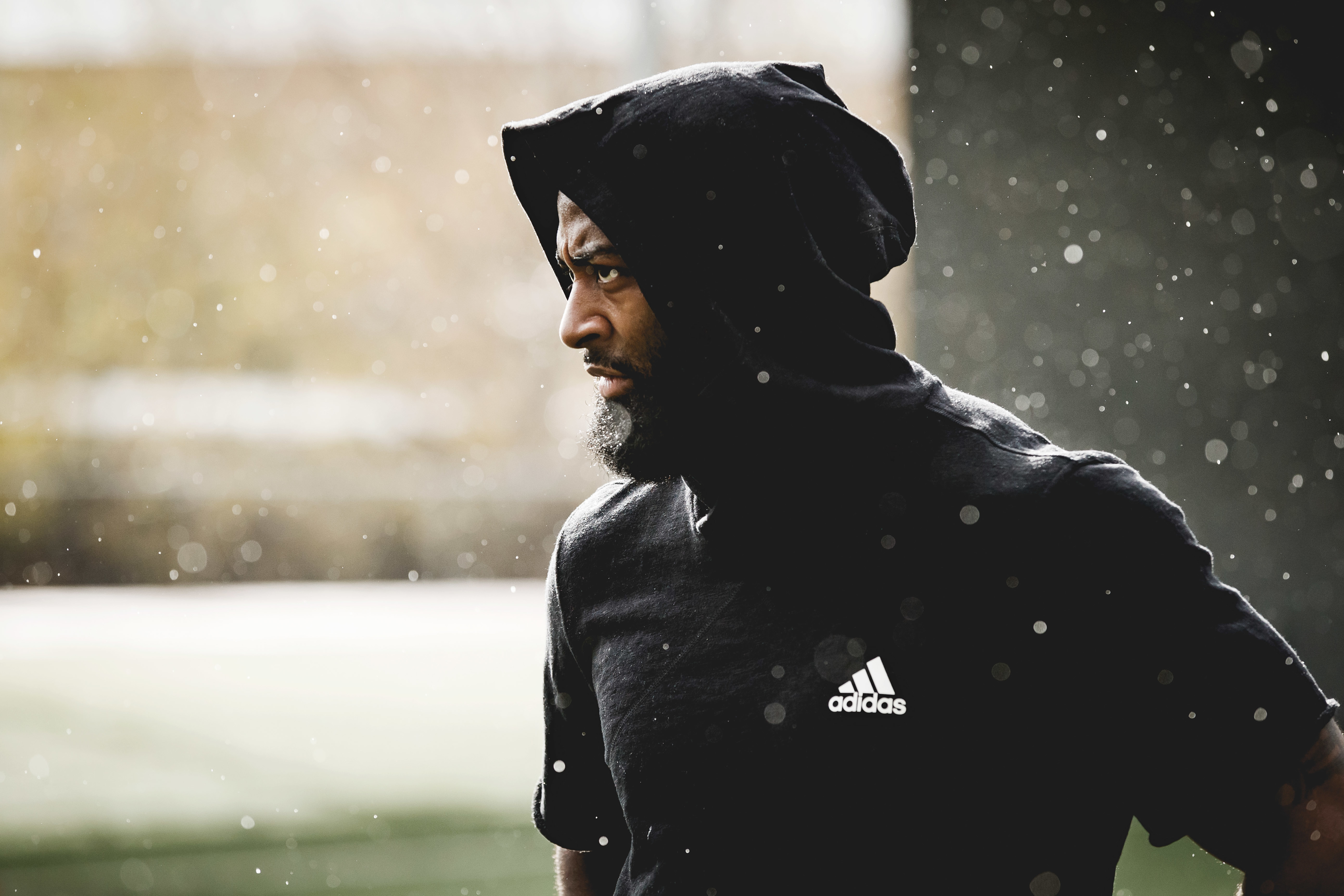 Dan Root — Deborah Ayerst artists' agent