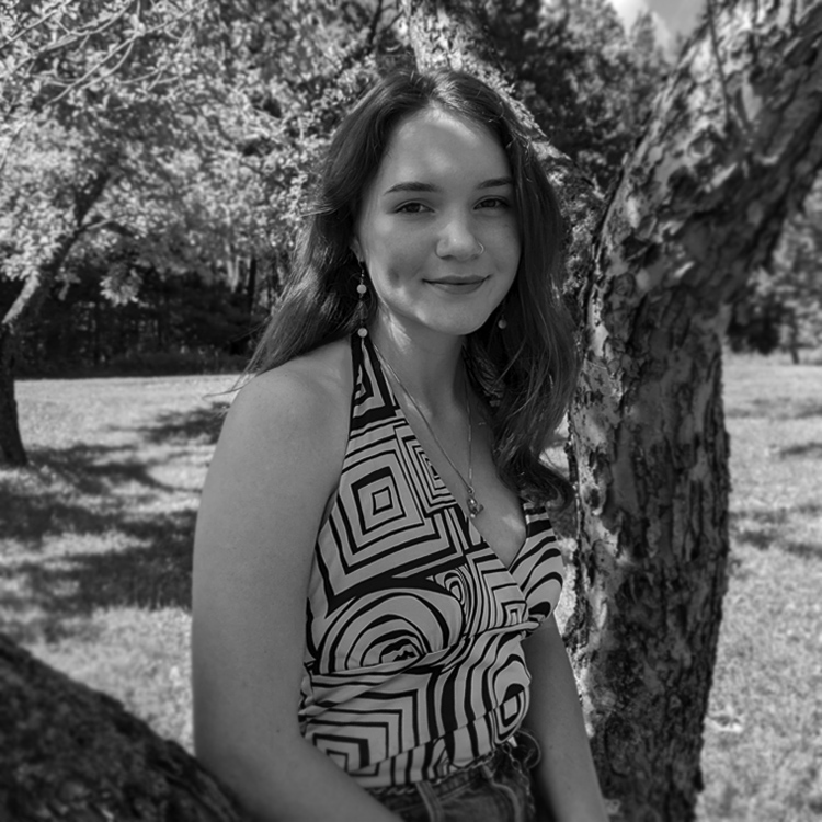 2026 overview — CCS Student Portfolios