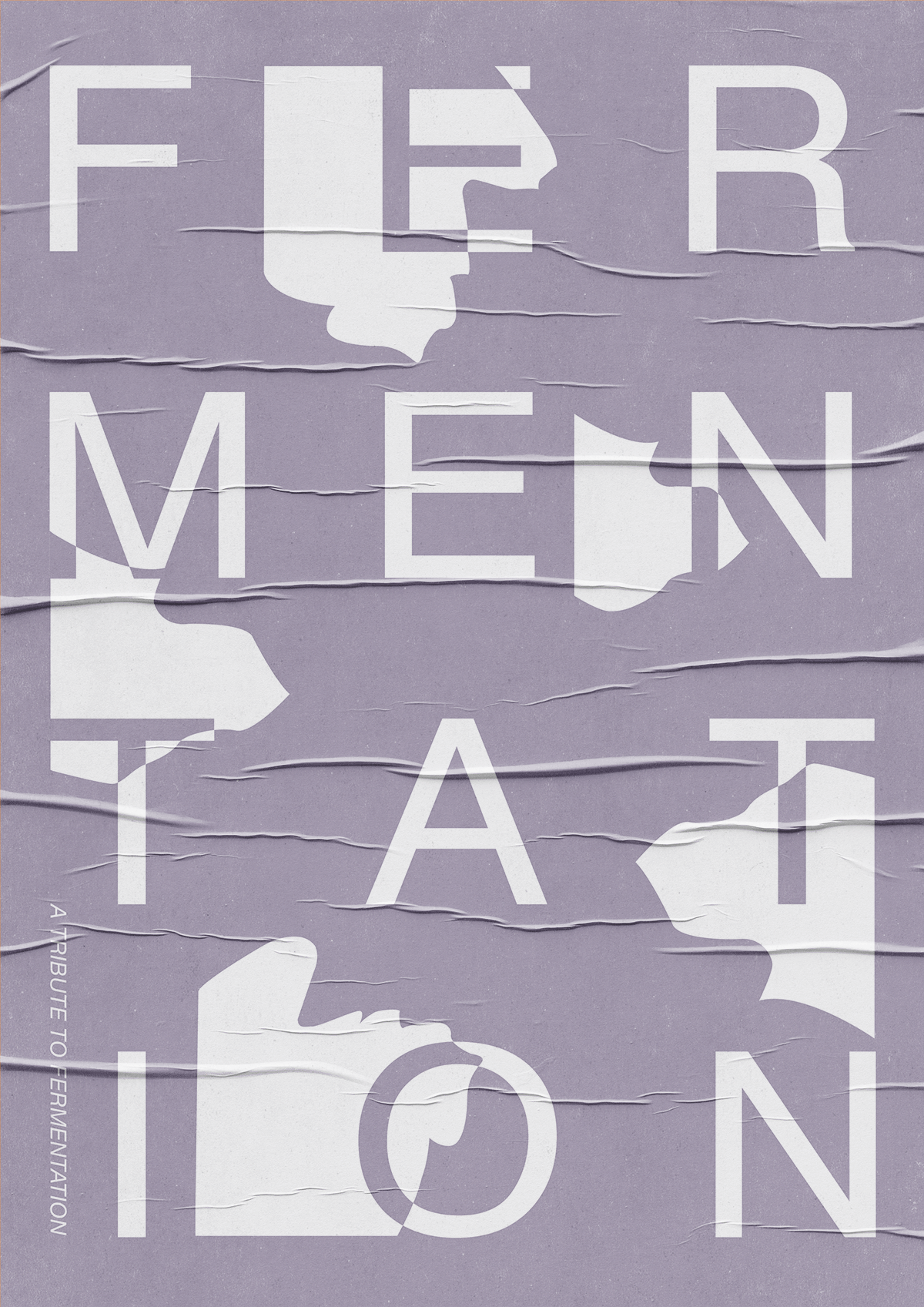 Fermentation — Lasse Wormsborg