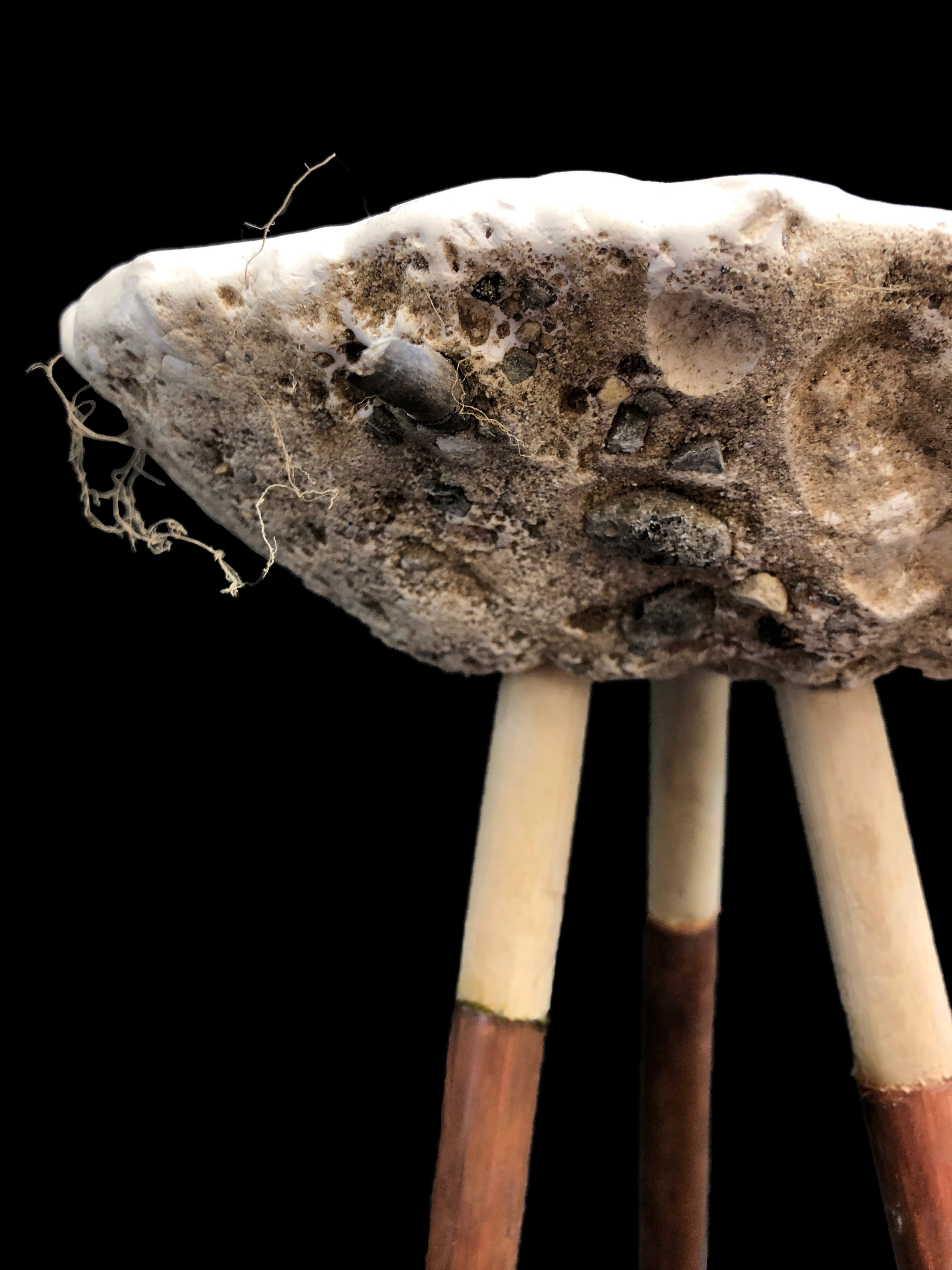 Records of Gorleston beach — BB Brogen Berwick