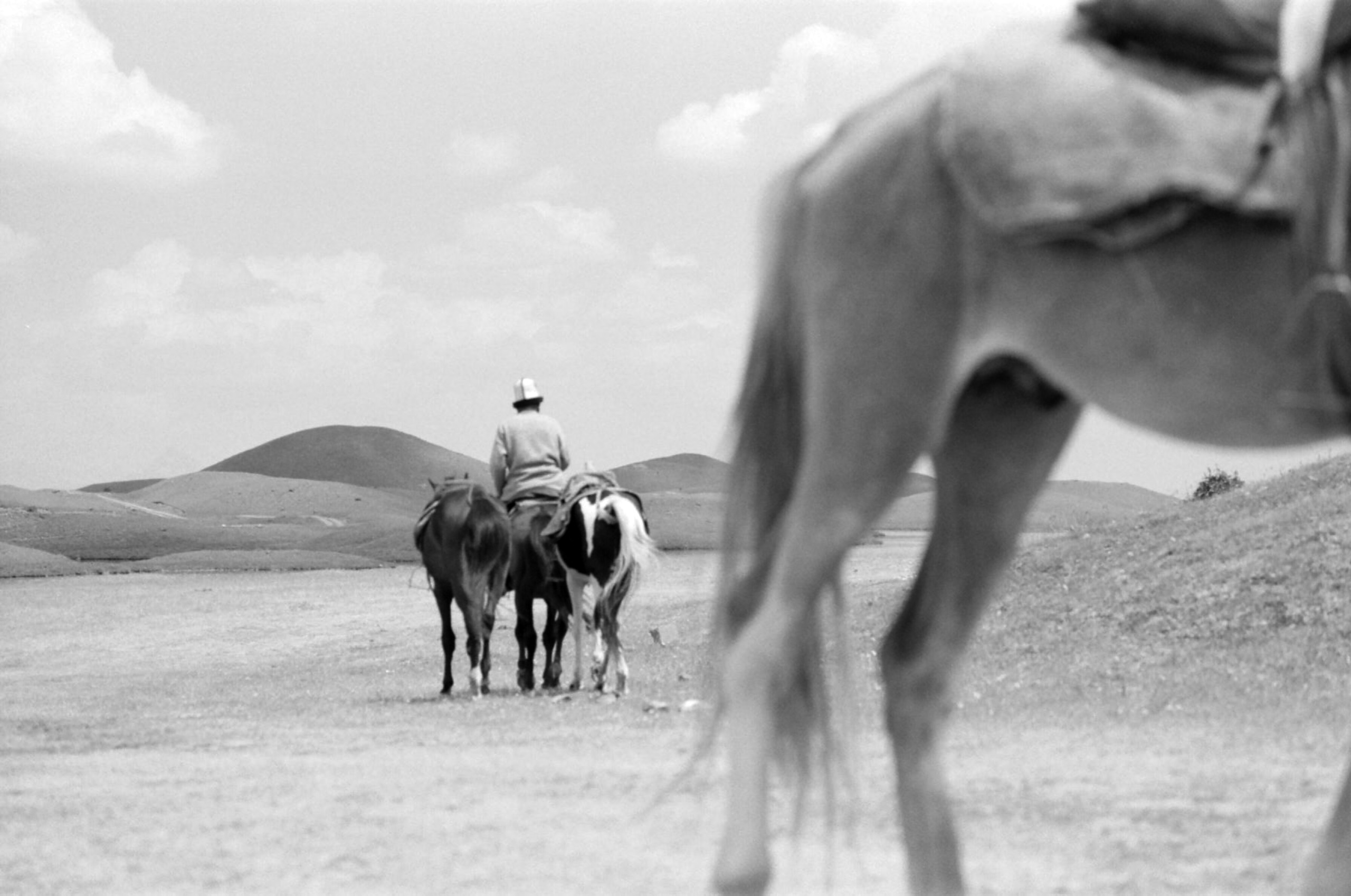 Max Hoell - Photographer