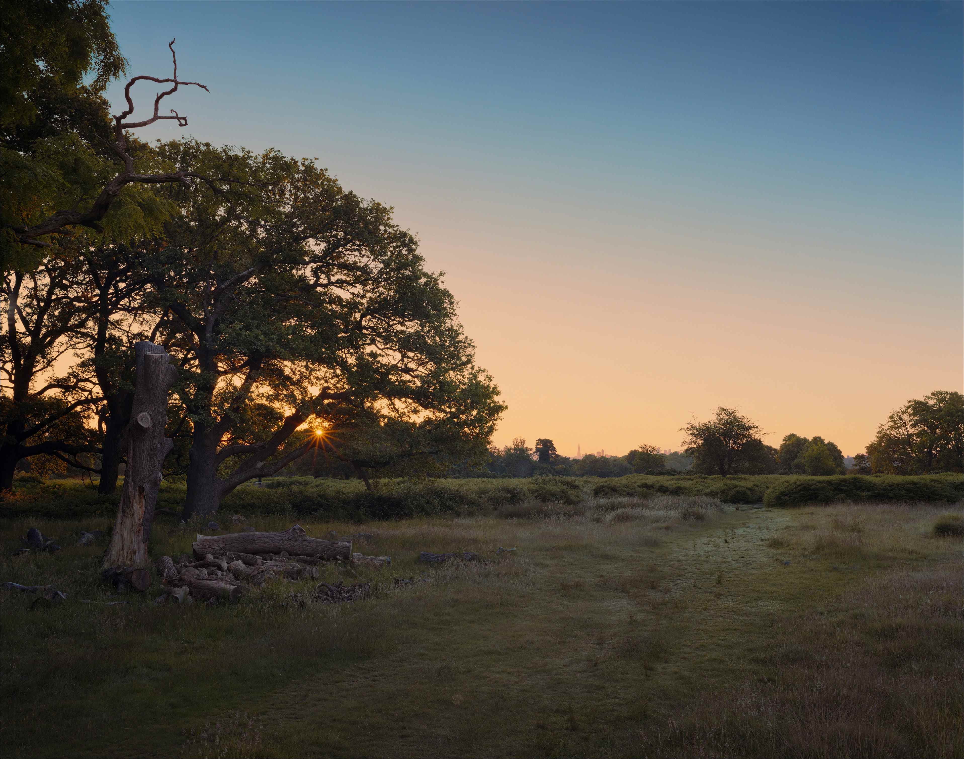 Harry Cory Wright | Artist and Photographer