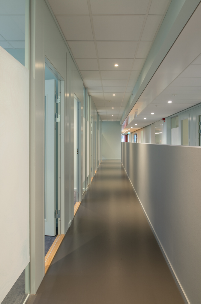 Bravura — Jason Strong Photography