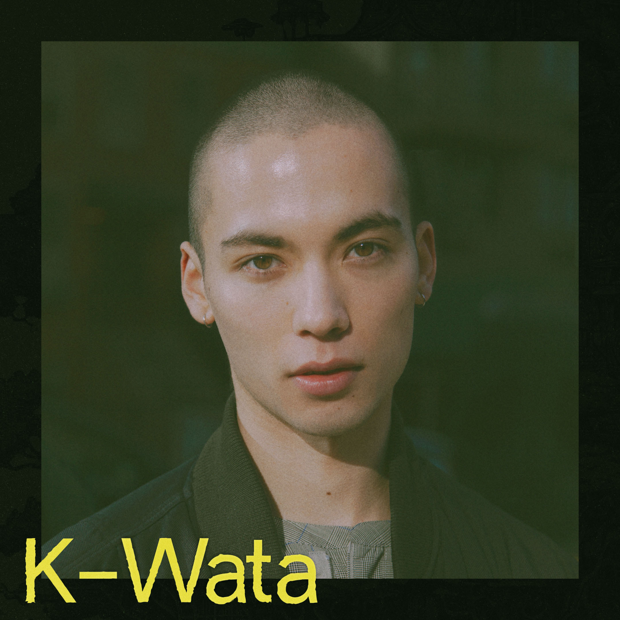 Osmosis in the trees 2023