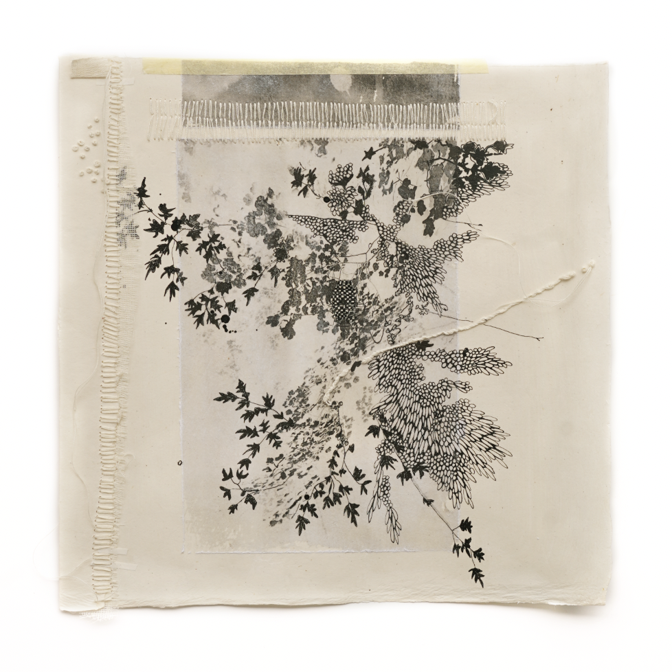 .thoughttrails — jackie mulder fotografie