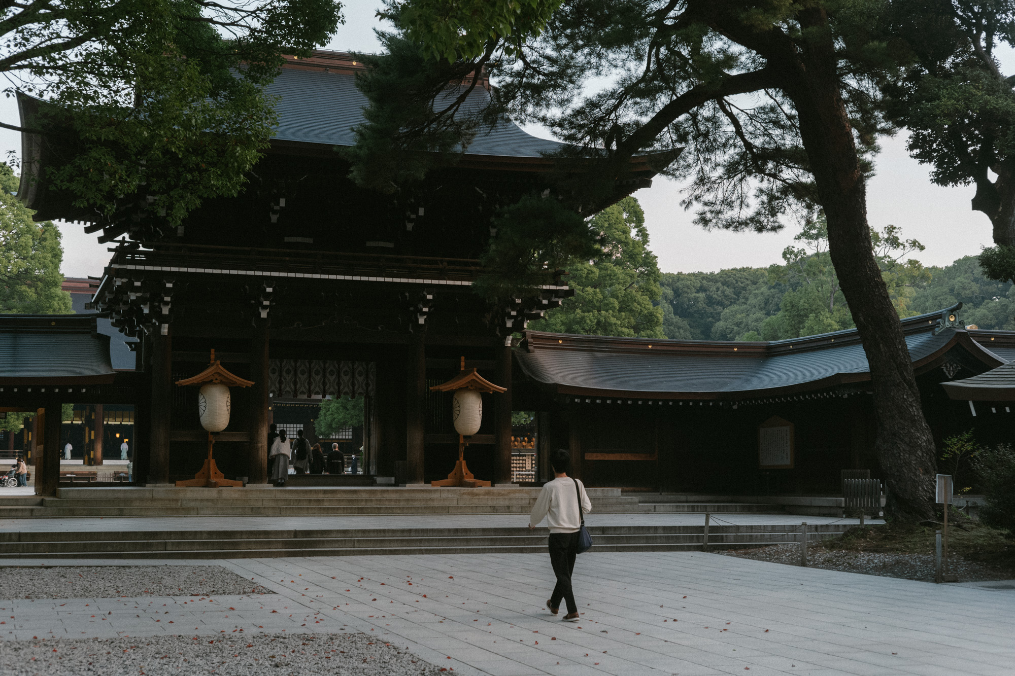 Tokyo — James Jackman, Photographer