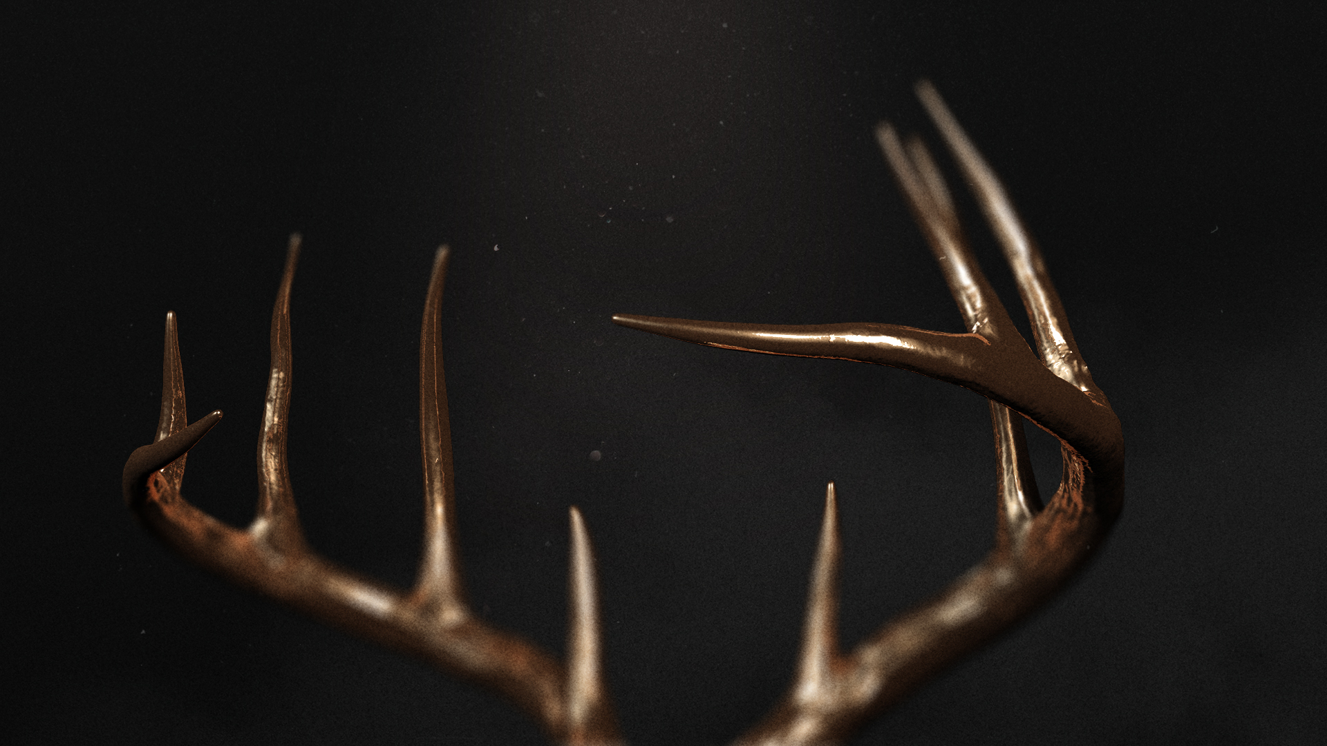 Torridon Films — Eddie Bong