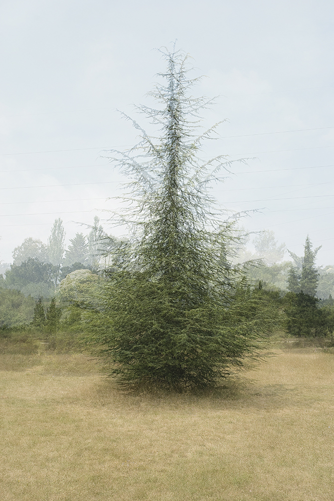 Mapping — Kim Boske