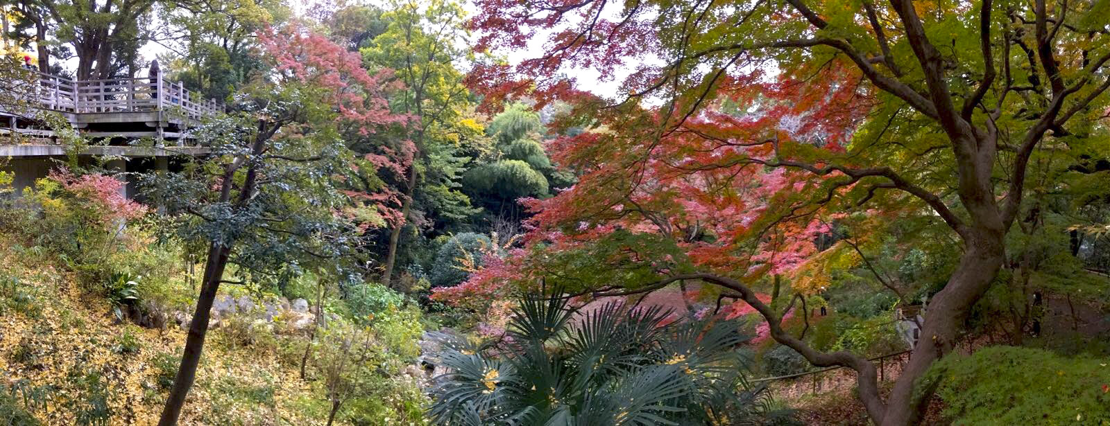 Todoroki Valley Guide — WHEN IN TOKYO | Tokyo's Art, Design and ...