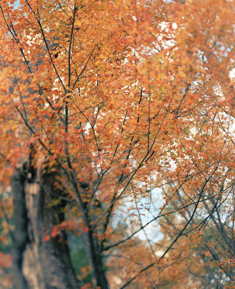 amanda heck photography