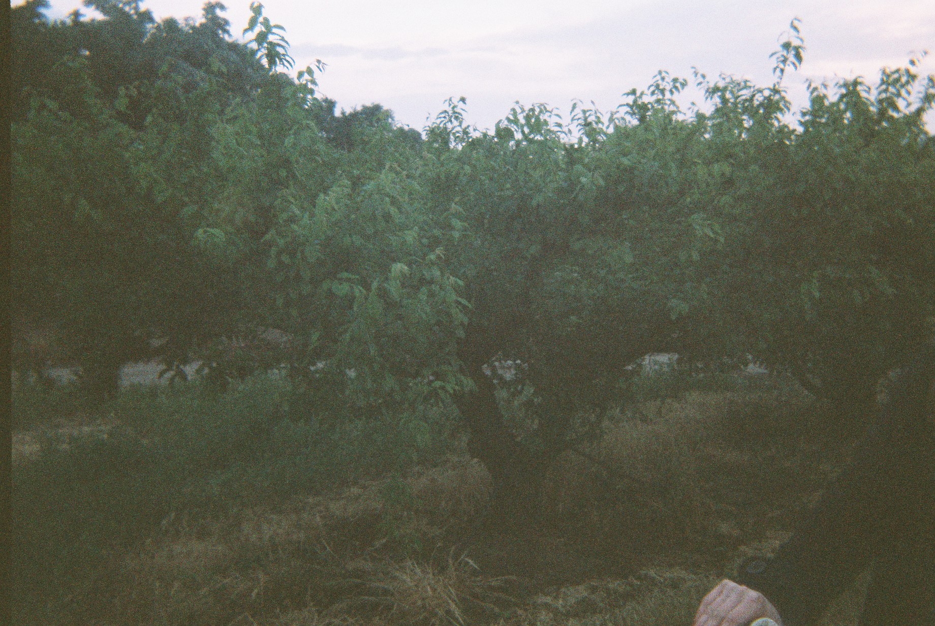 UN IDEAL — Sergi Cameron