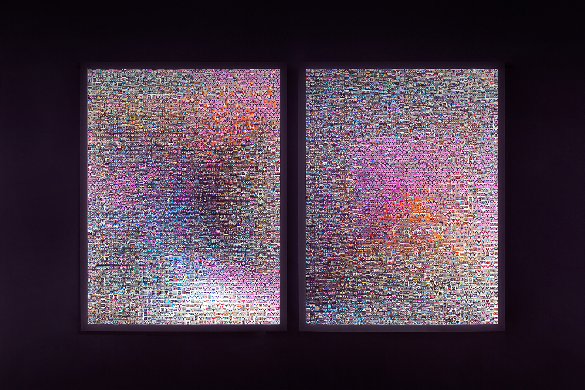 stephanie potter corwin | visual artist