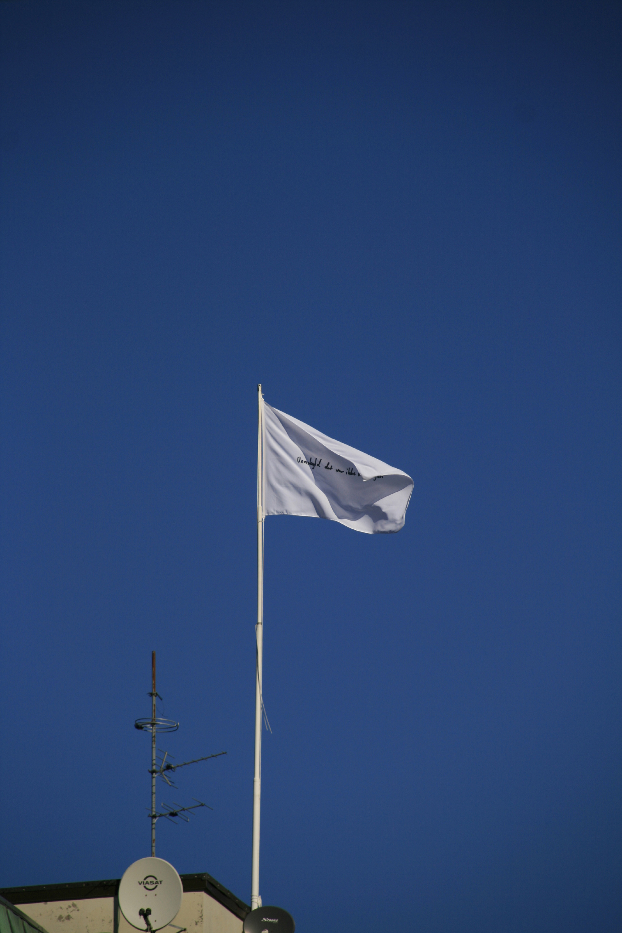 Flag Project — Borghild R. Unneland Kunstner / Artist