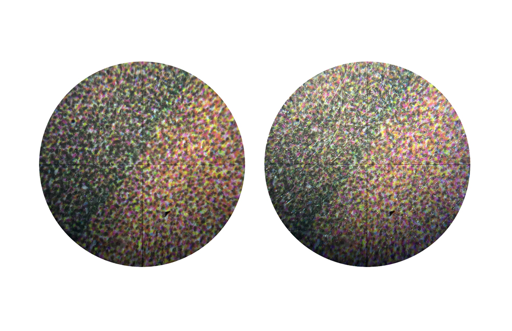 MICROSCOPY — L M RAMSEY