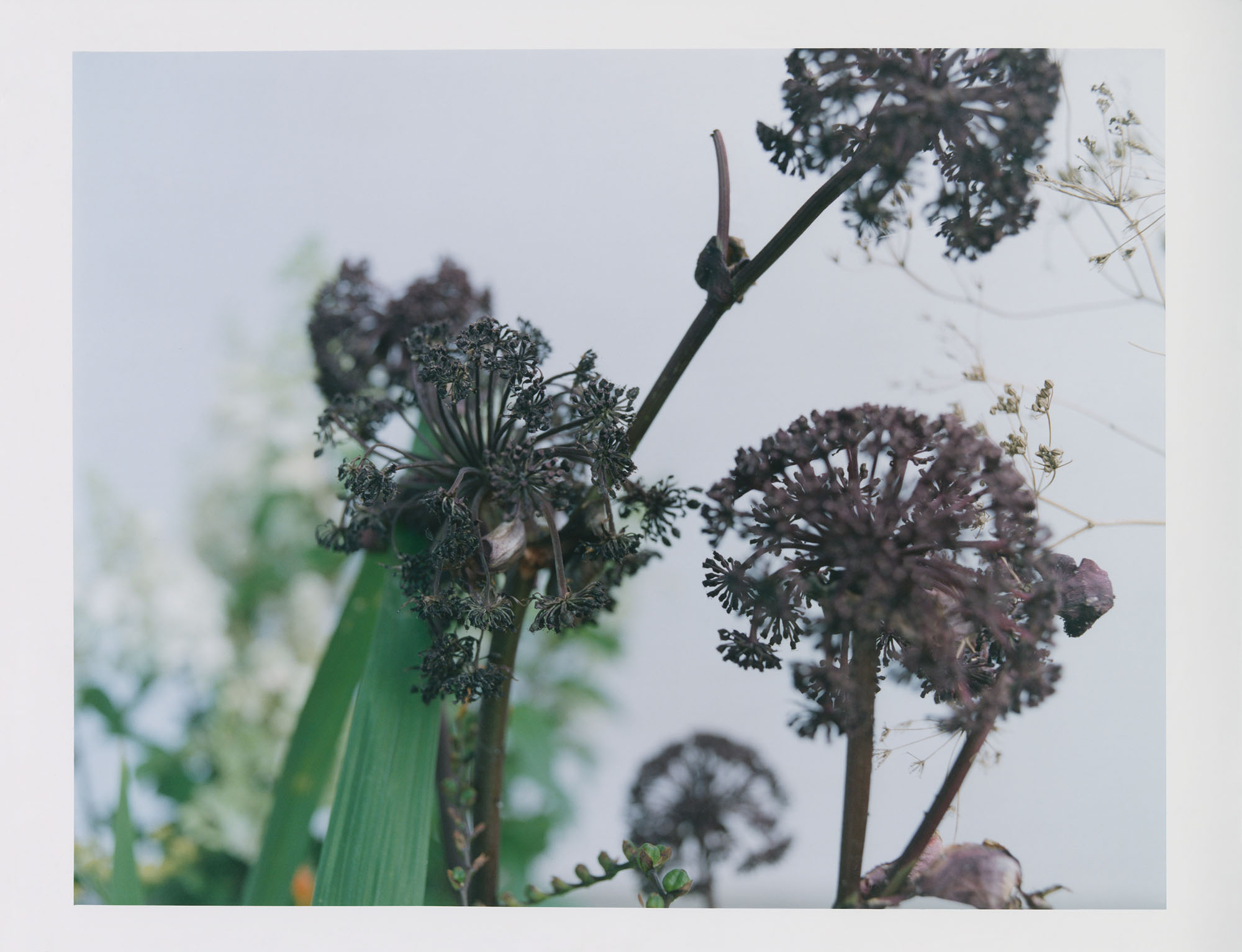 Primary Paper — David Abrahams