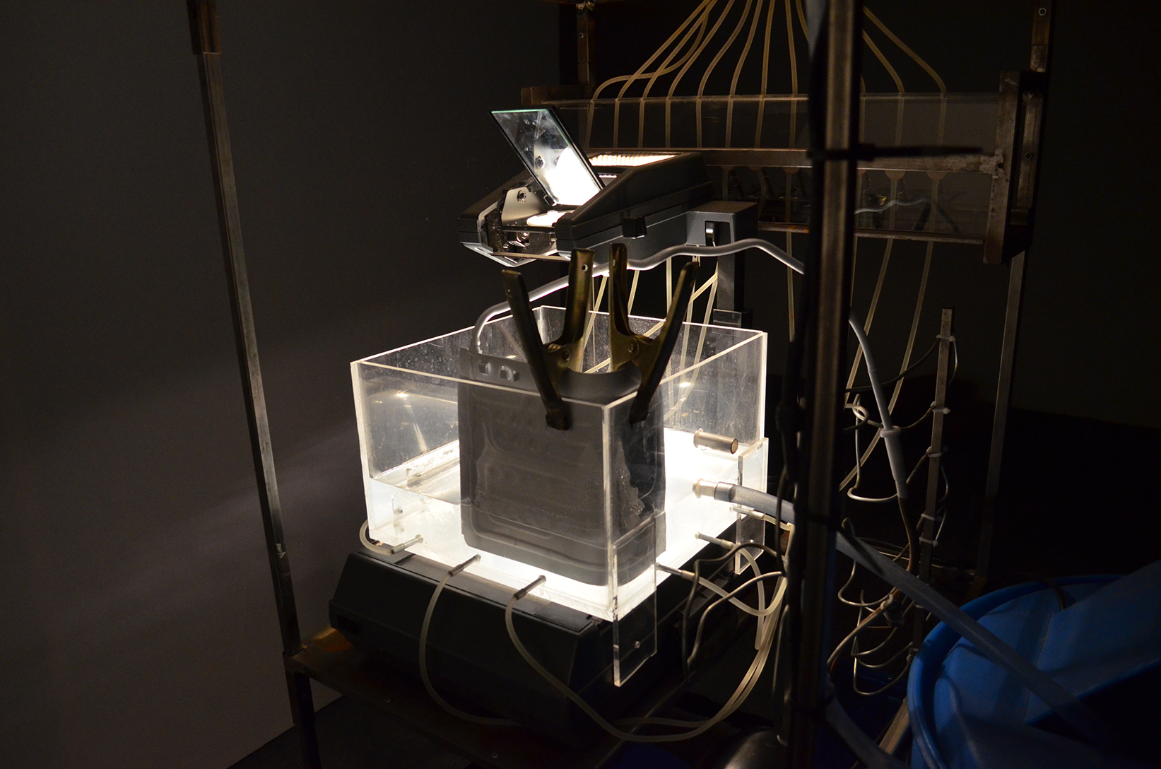 DARF — Fabien Léaustic