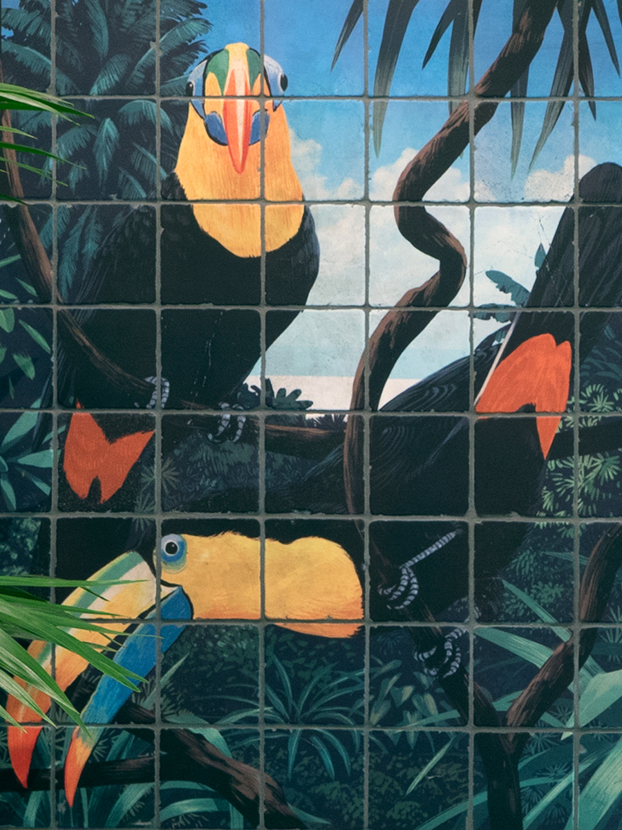 DAVID SILVERSTEIN STUDIO