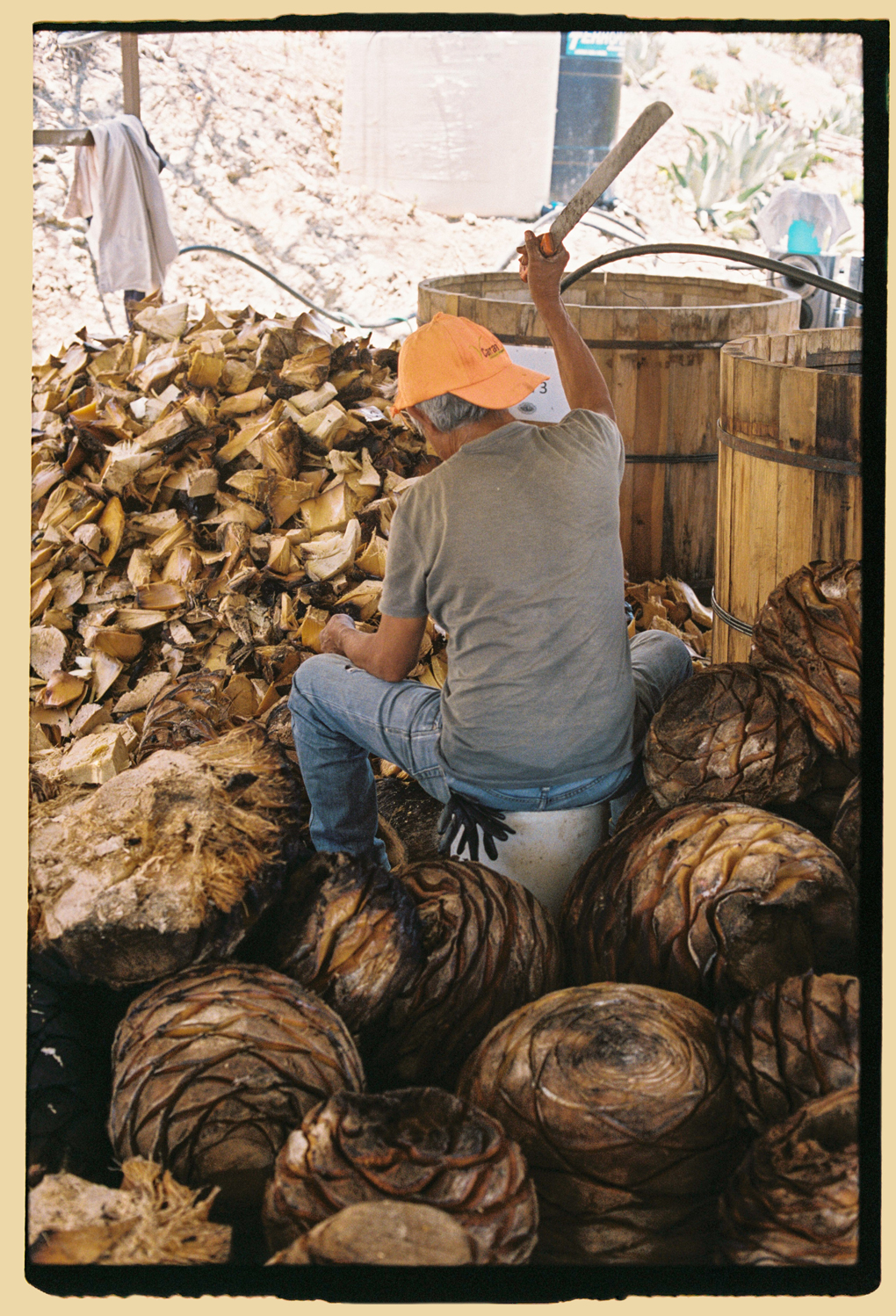 Yaha-Yahui Organic Mezcal