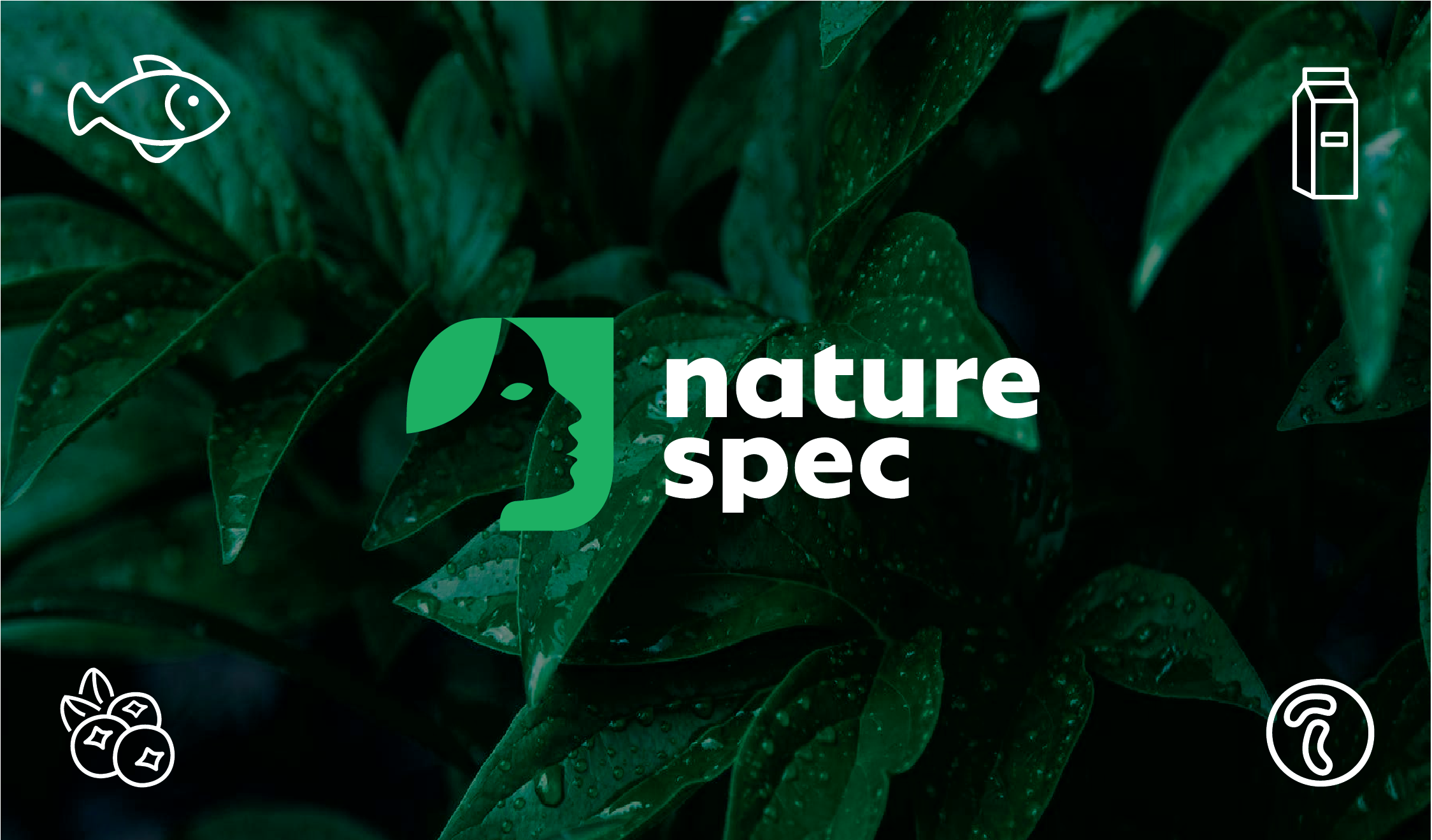 Work — Jeff Yao Design