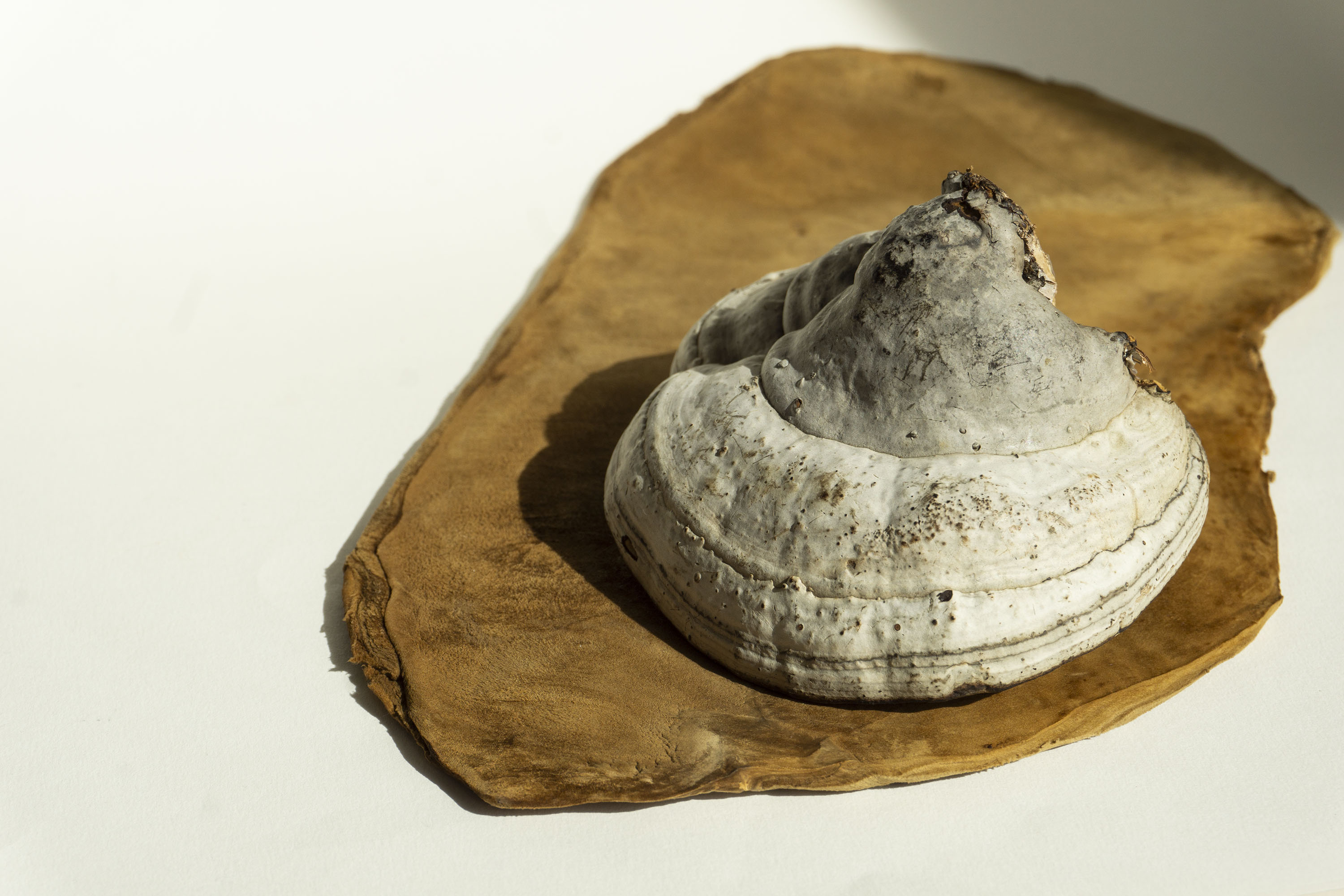 Material Matters Fair Themes — Material Matters