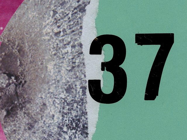 thirty seven — Andrei Cojocaru - collage & illustration