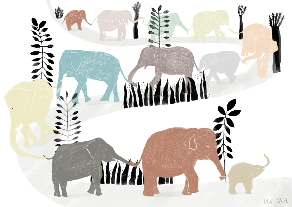 Elephant chain — Rachel Sender