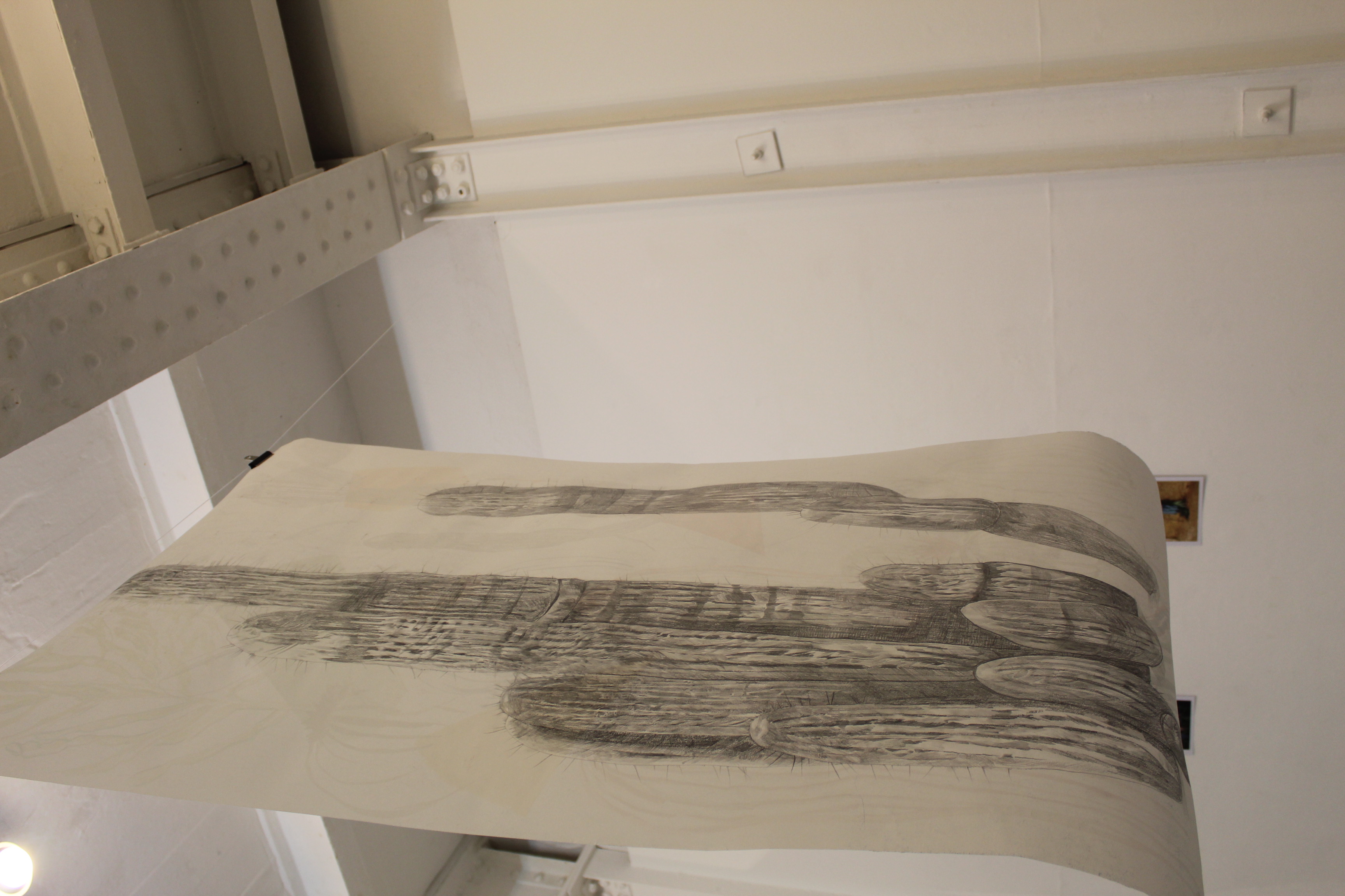 2022 — Laura Ribbons