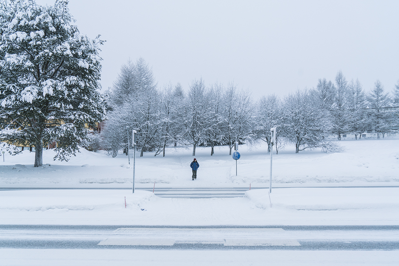 北 | Arctic — keyingchen