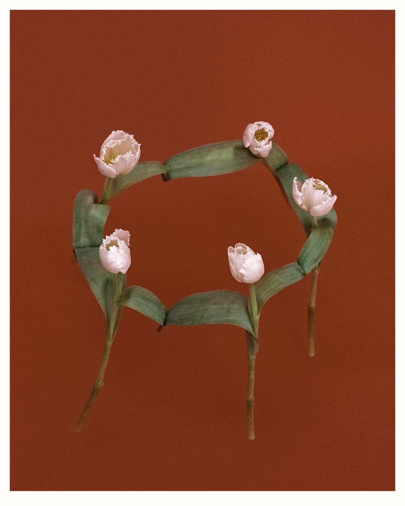 Personal — Paula Codoner