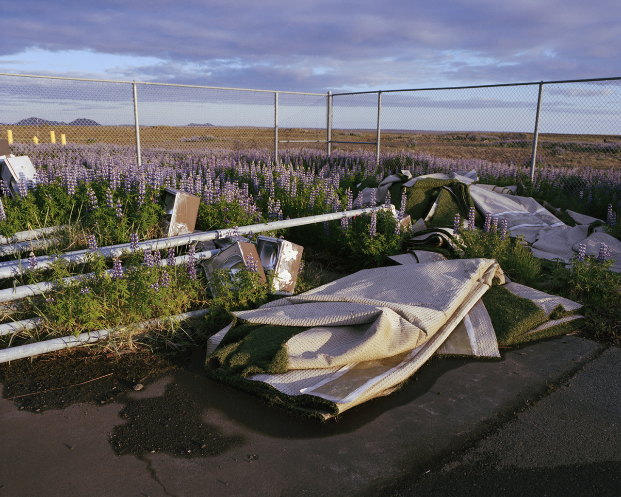 Selected Photographs — tcoray