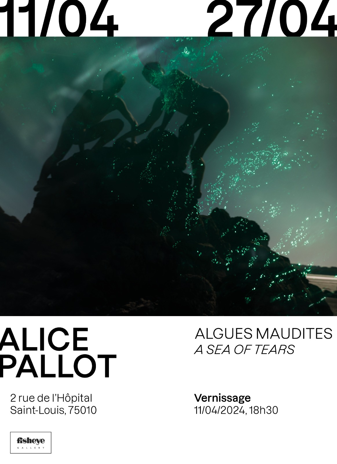 News — alicepallot