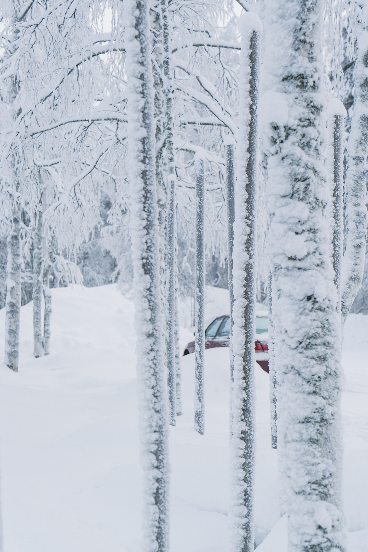 北 | Arctic — keyingchen