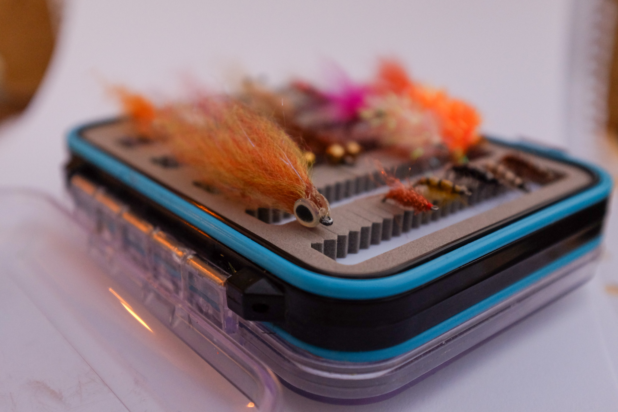 The Coastal Box — WOOL & BUGGERS