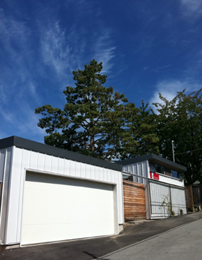 Formline Architecture - Architecture, Indigenous Architecture