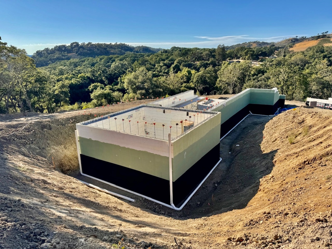 Five Faux Chimney's — endemicarchitecture