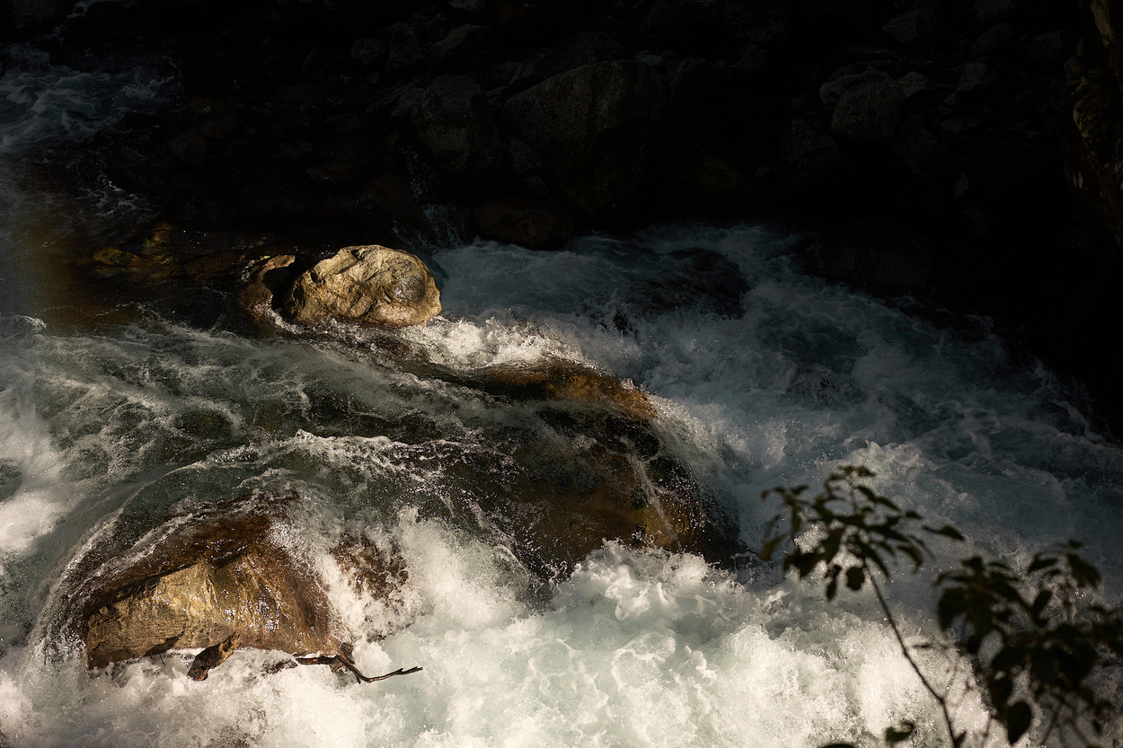 Charlotte Jane Studio