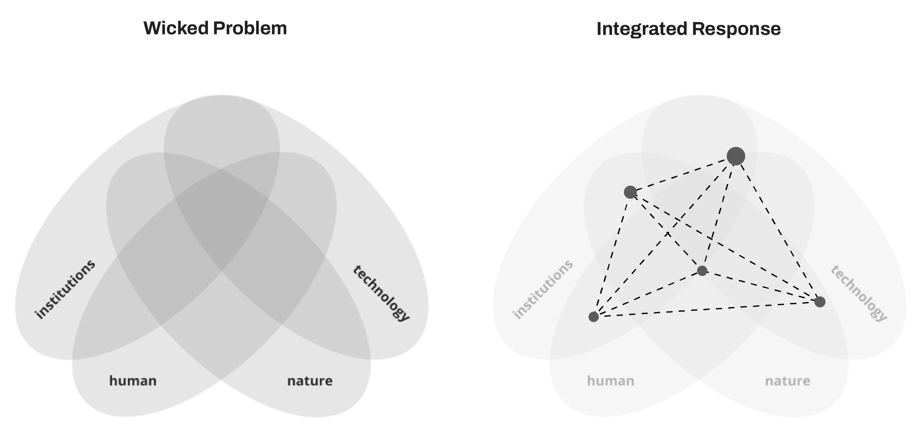 DNA for a Great Peace — Polycene Design Manual - Center for Complexity at RISD
