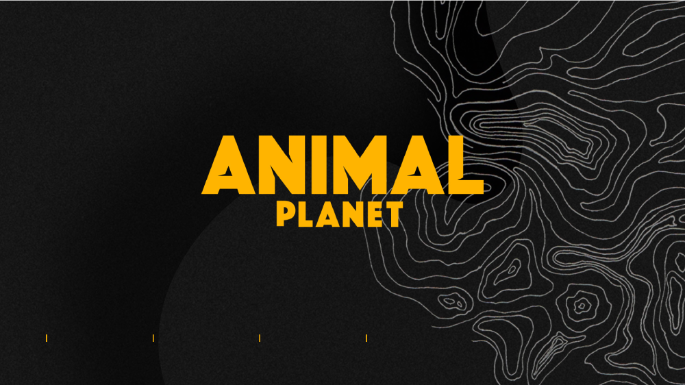 Animal Planet Logopedia The Logo And Branding Site