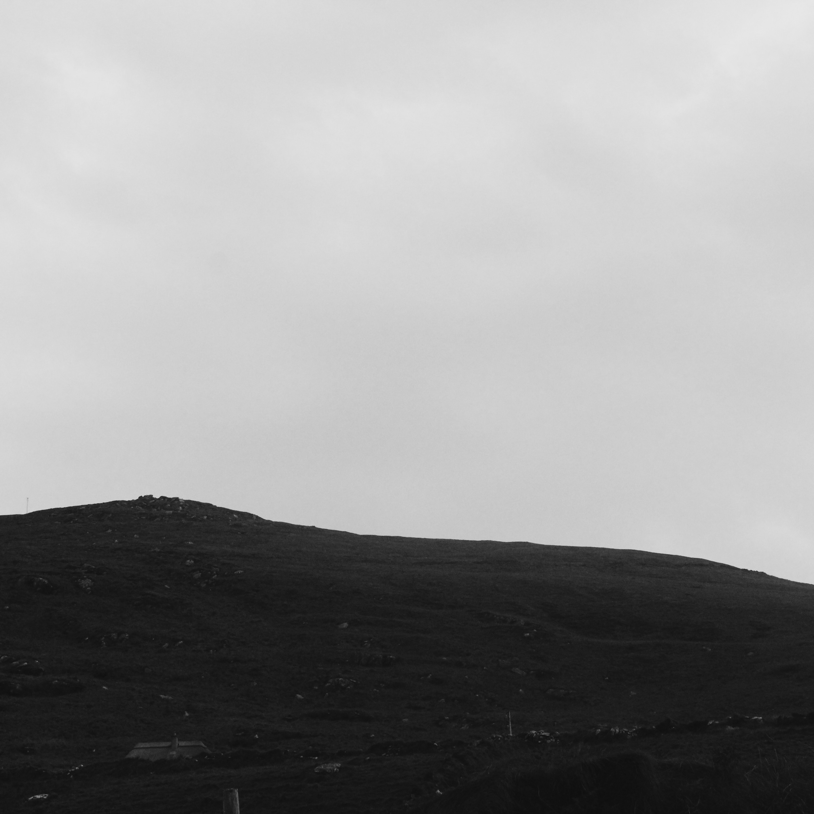 Gallery — Lydia Hickey