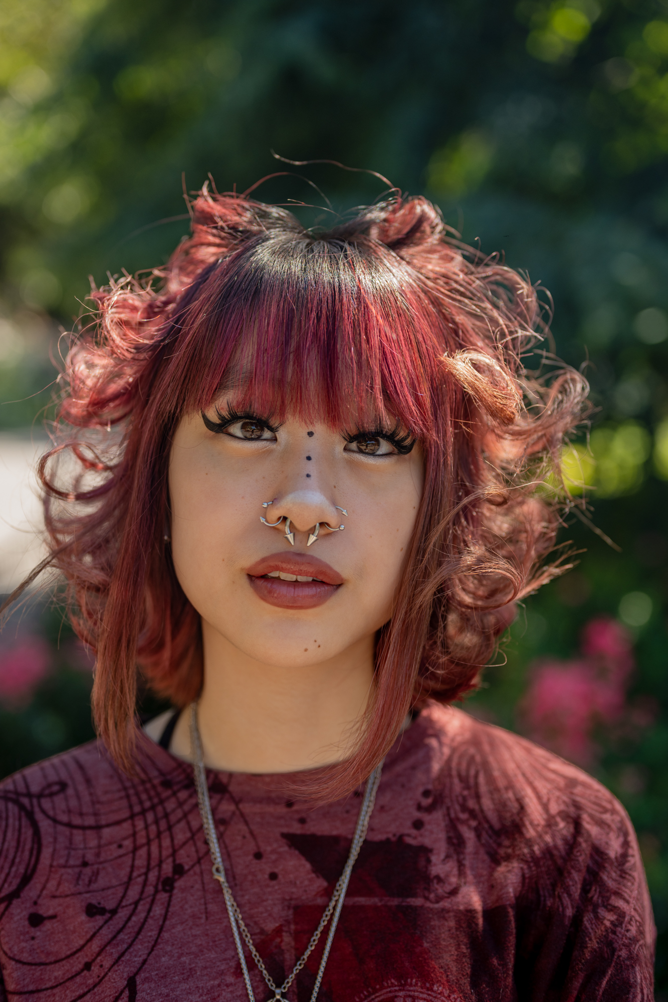 IMAGES — Amy Horowitz