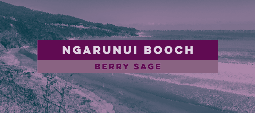 Beach Booch | Hard Kombucha