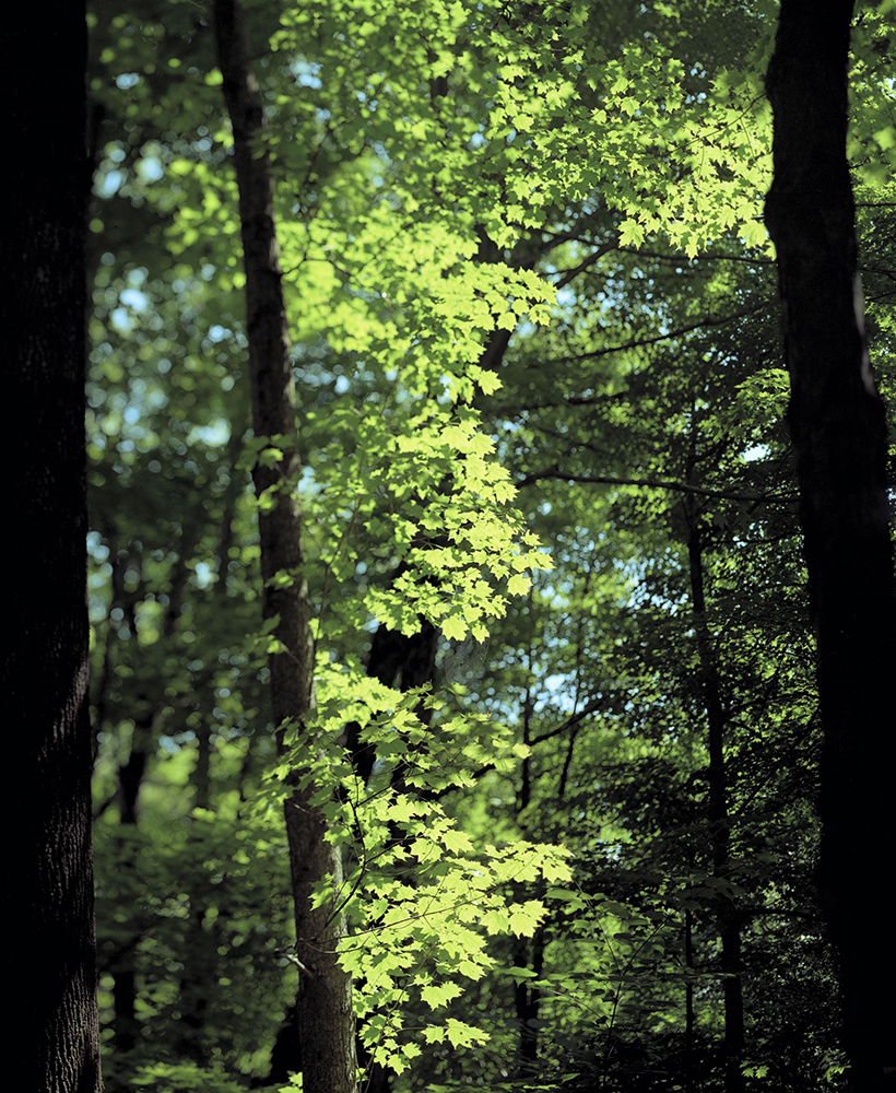 amanda heck photography